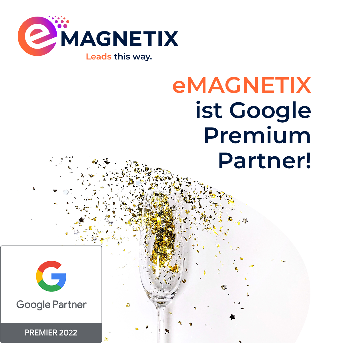 eMAGNETIX ist Google Premium Partner - Leads this way.